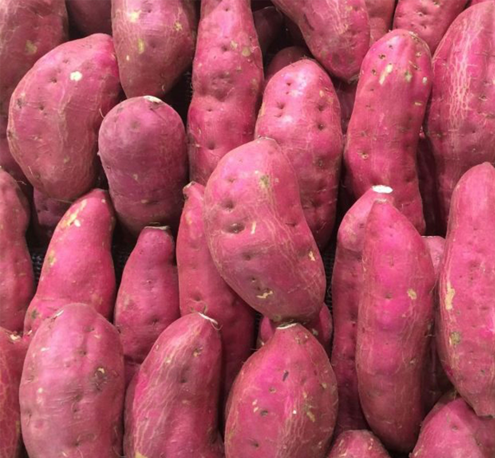 Coral Crater Adventure Park